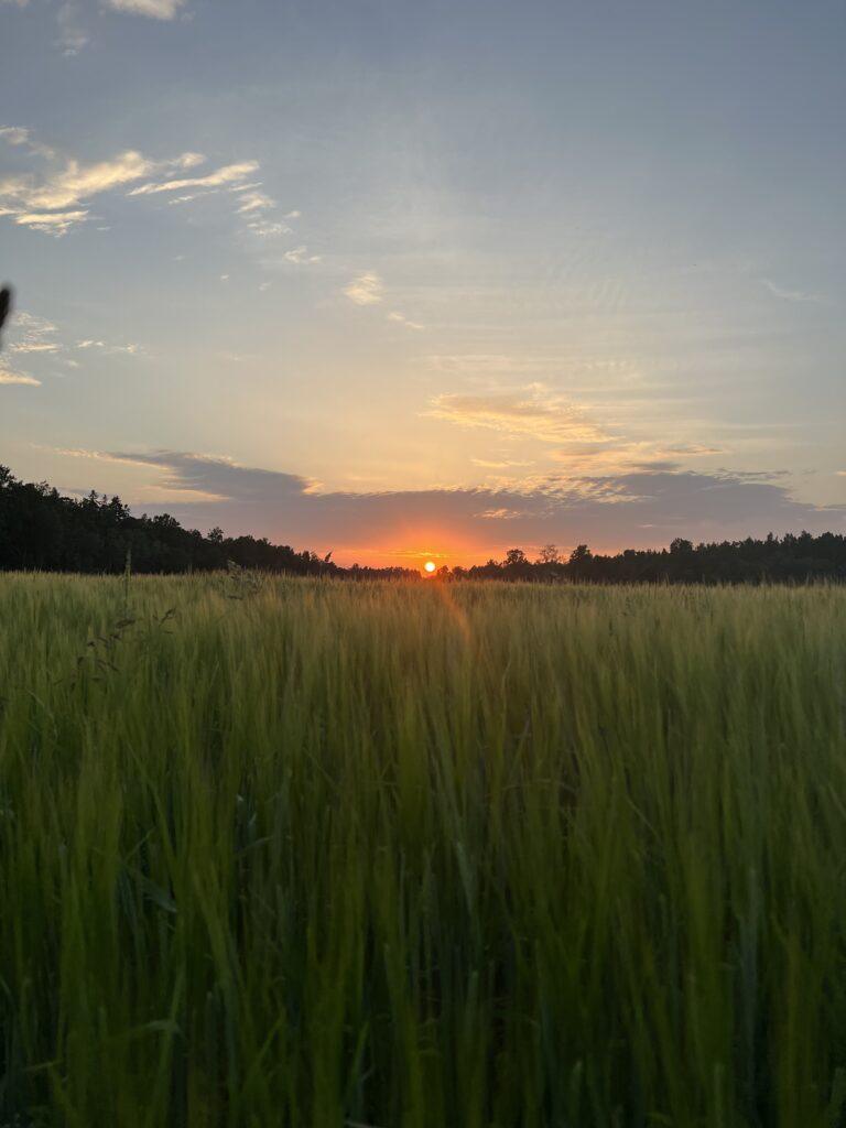 Go Beyond Self - GoBeyondSelf - your holistic guide